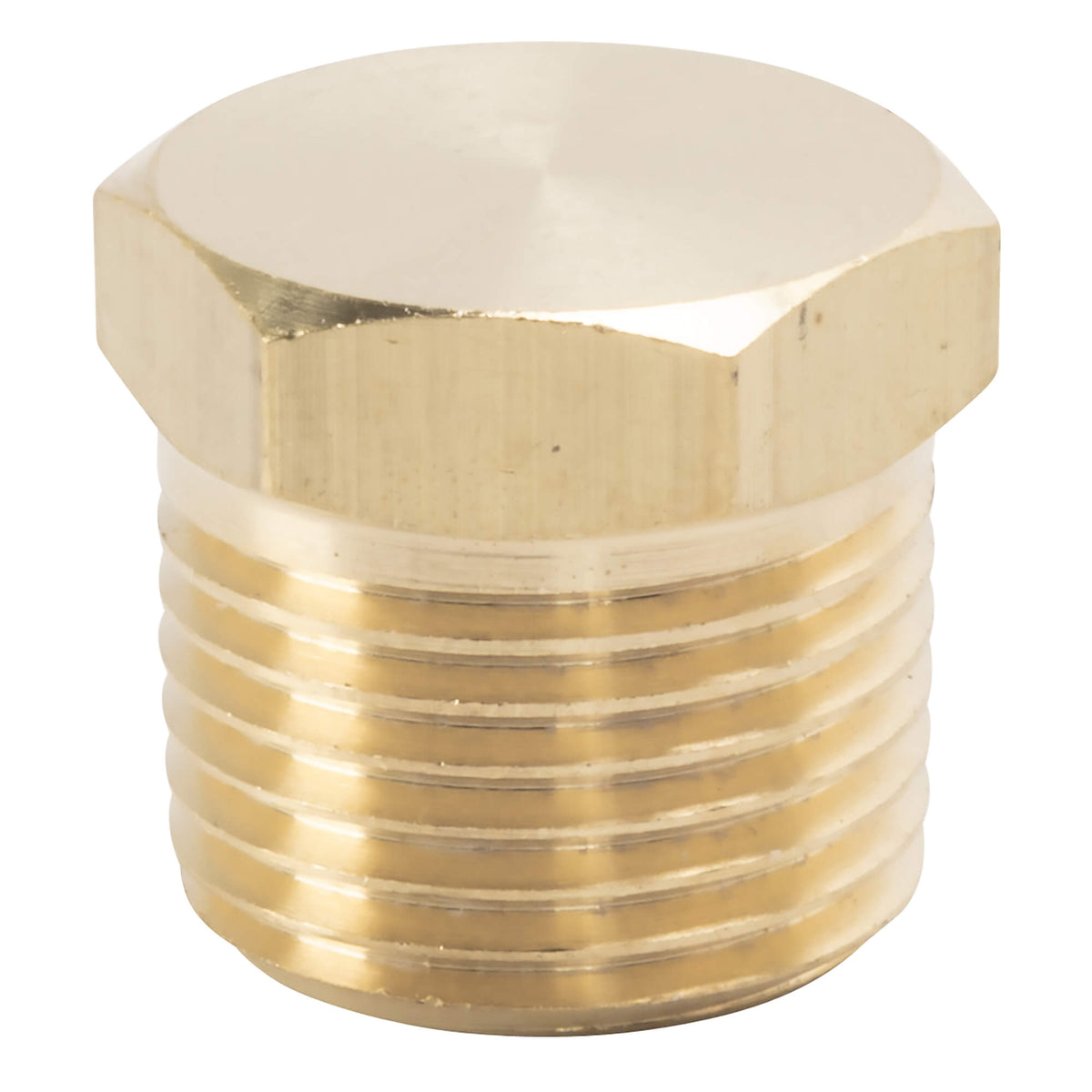 Cycle Standard Hex Pipe Plug 3/8 inch NPT - Brass – Lowbrow Customs