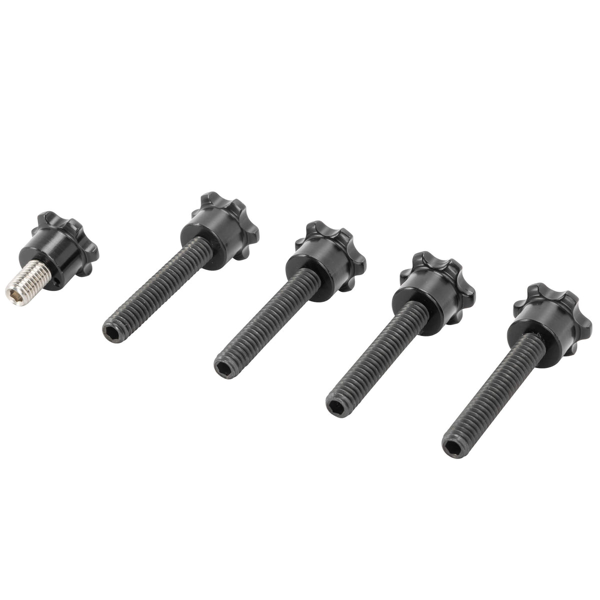 Gigacycle Garage FXR Side Panel Screws & Seat Screw for Ness Style sid ...