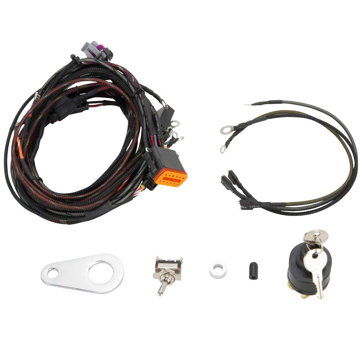 The Sportster Treatment Custom Wiring Harness Kit - Harley-Davidson ...