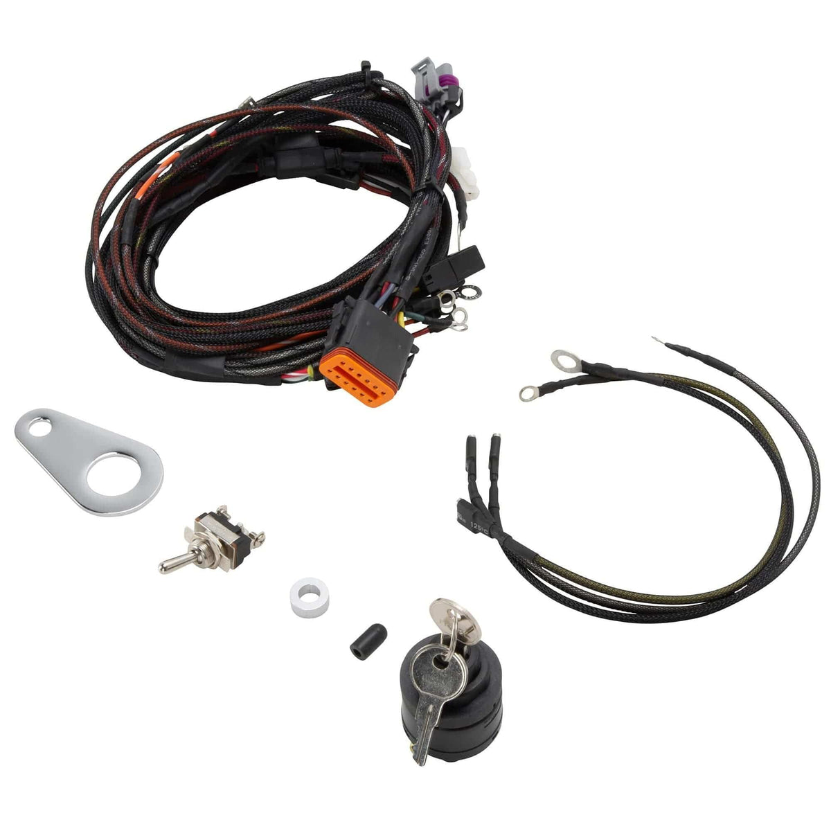 The Sportster Treatment Custom Wiring Harness Kit - Harley-Davidson ...