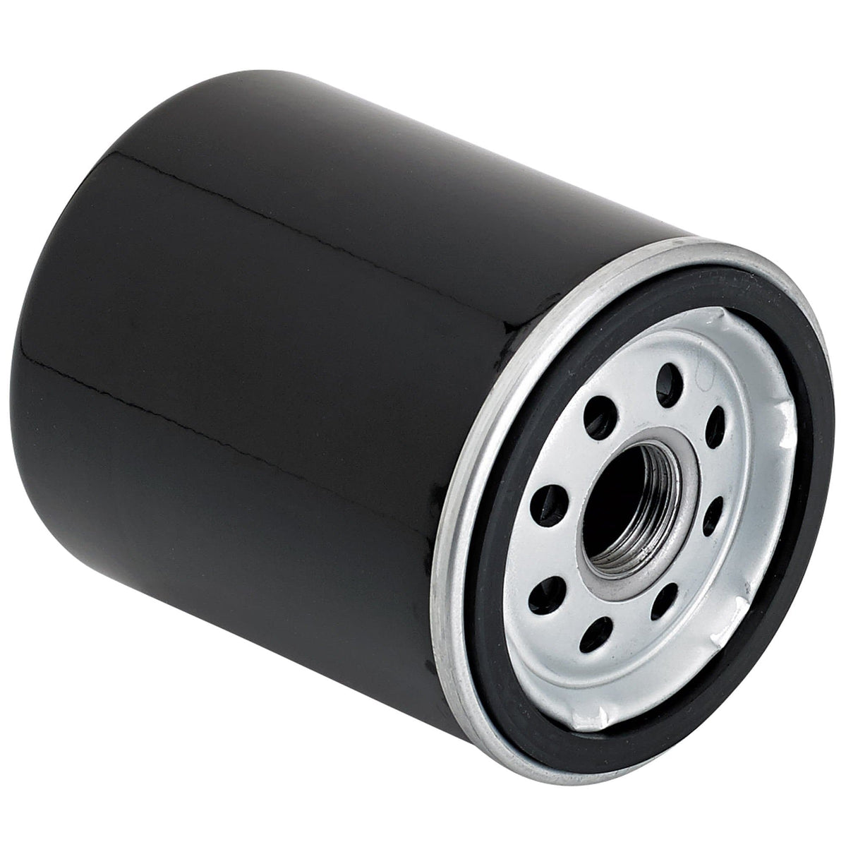 Oil Filter - Black - Harley-Davidson Evolution Big Twin Harley and Spo ...
