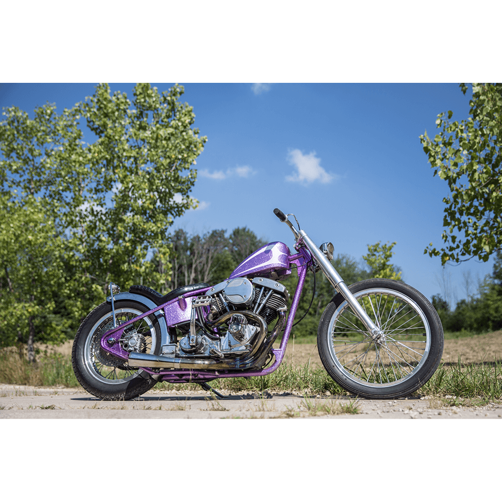 Lowbrow Customs Fish Scale Air Cleaner Cover for S&S Super E/G - Semi ...